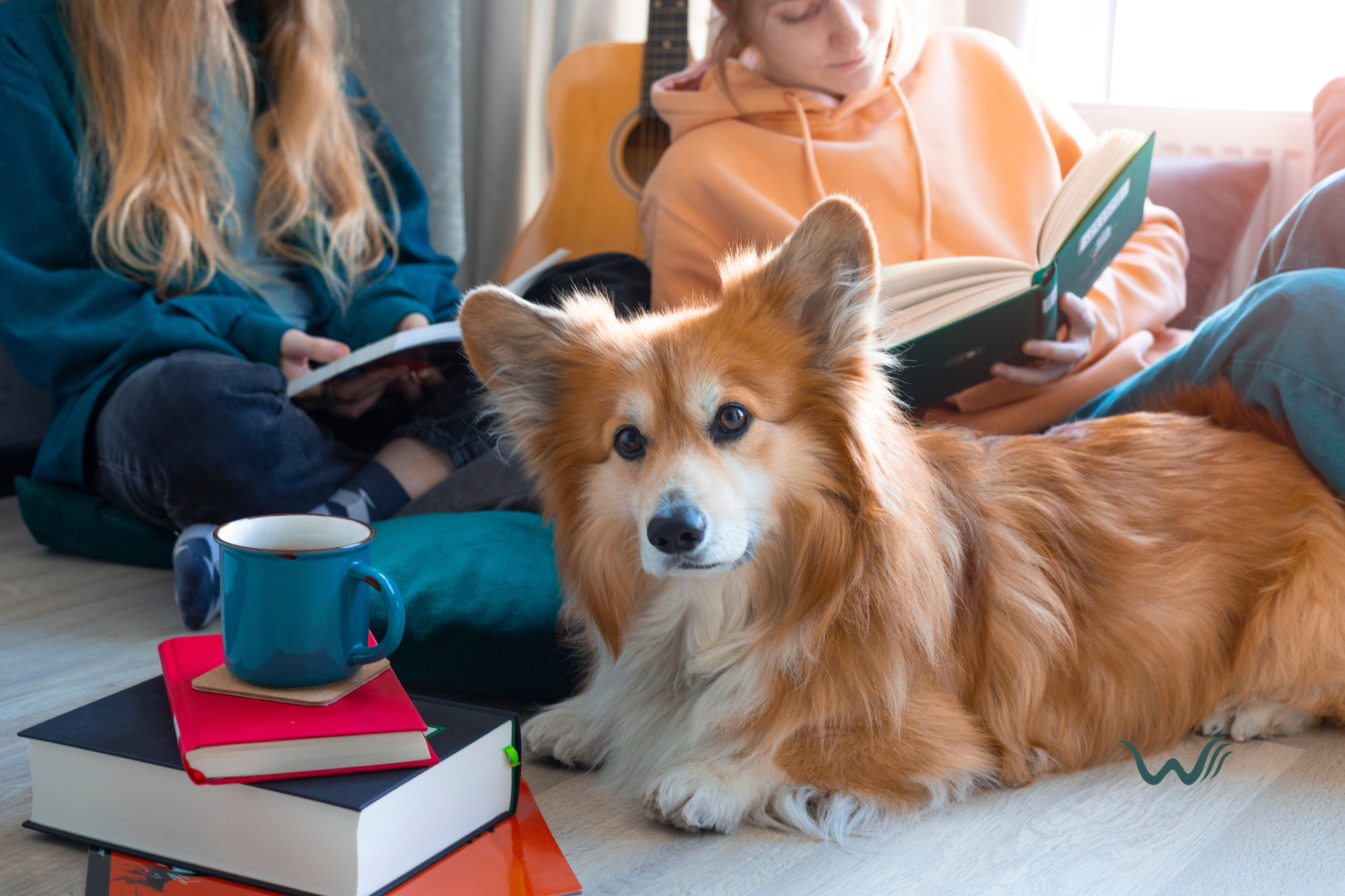 Best Pets for College Students: Find Your Perfect Companion