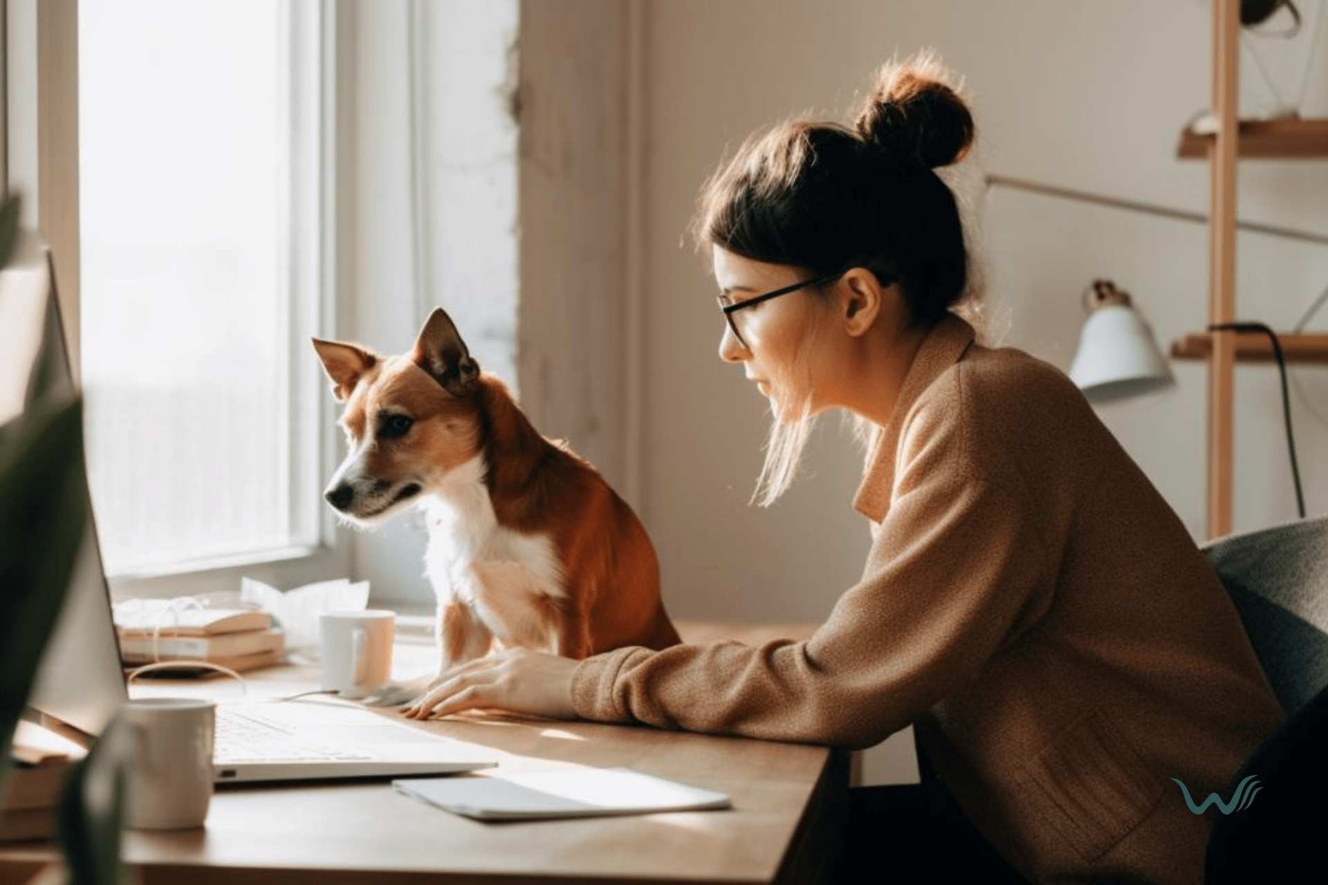 Ensuring Your ESA's Protection: Legal Requirements for an ESA Letter